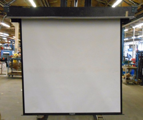 Ceiling Recessed Motorized Projection Screen Installation | Shelly Lighting