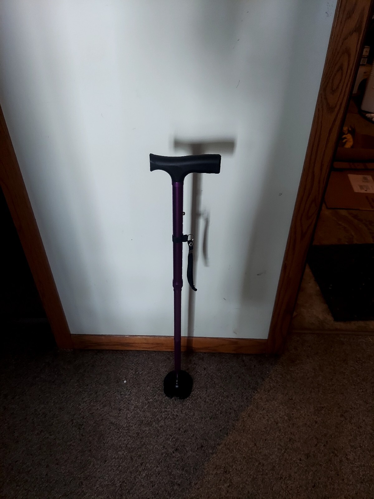 HONEYBULL Walking Cane for Men & Women | Free Standing Foldable Pivot ...