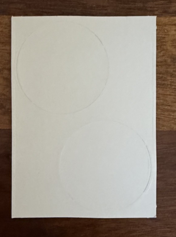 1994 Ted Williams Roger Staubach's NFL POG Cards #2 Roman Gabriel Lee ...