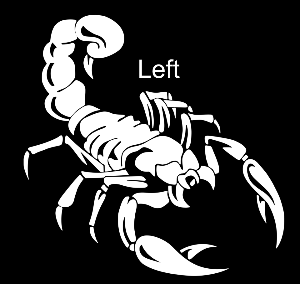 Scorpion Decal Sticker Animal Car Truck Window JDM Laptop Sticker | eBay
