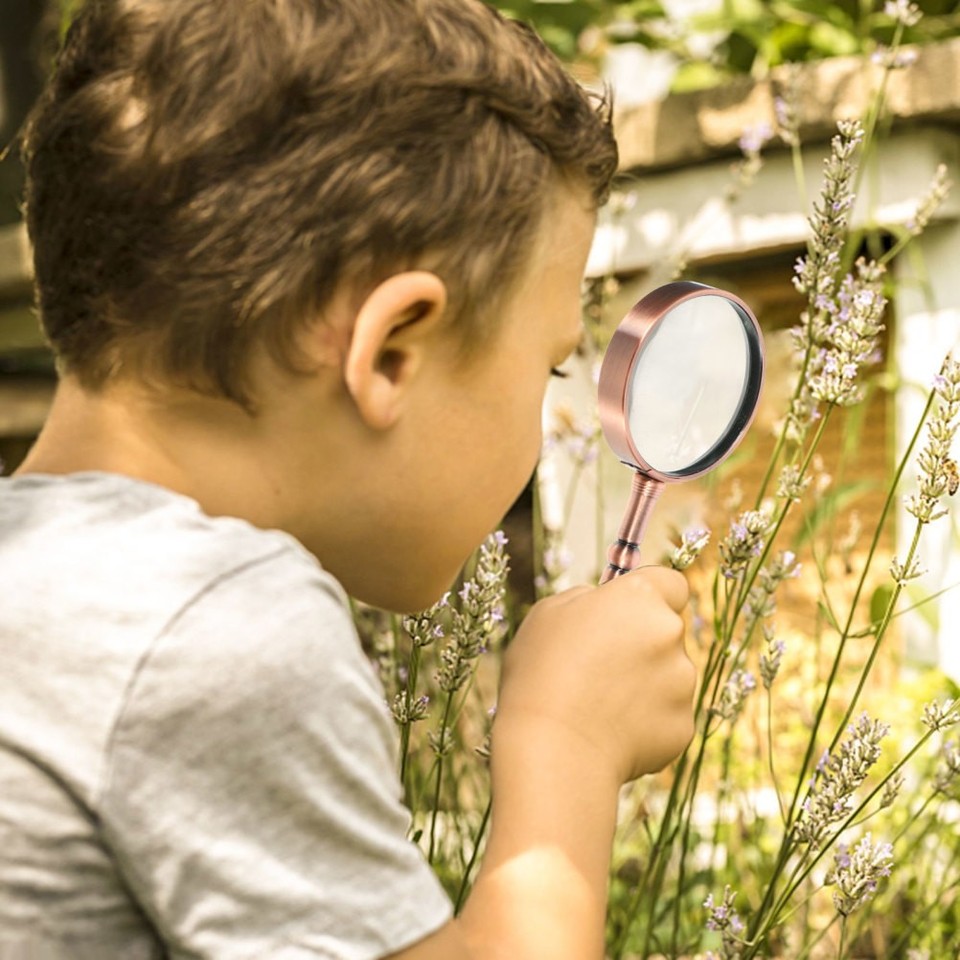 Handheld Magnifier Glass Jewellery Appraisal Reading Magnifiers for ...