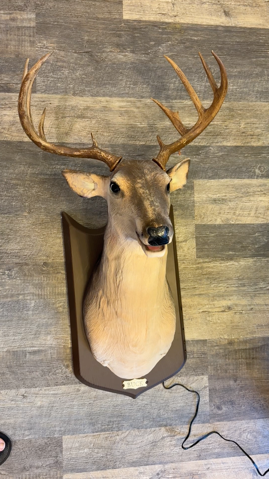 Gemmy Buck the Animated Deer Trophy W/BOX Singing Talking Wall Mount ...