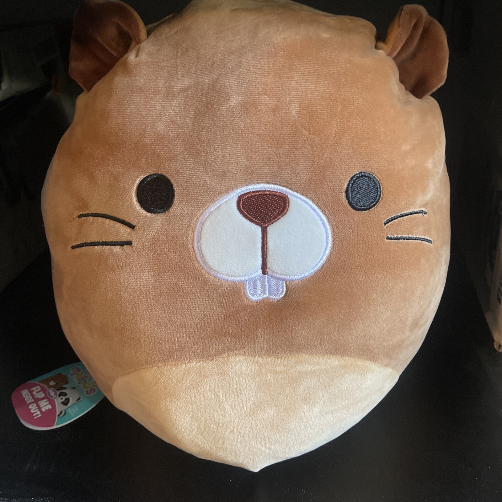 Squishmallow Kellytoy Plush Flip A Mallows Chip & Rocky 12" Inch NWT 2 ...