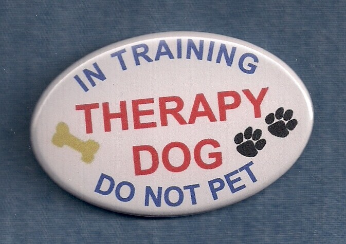 THERAPY DOG IN TRAINING DO NOT PET - therapy dog vest button w/pin back ...