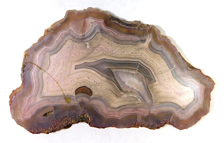 PRICE DROP! GORGEOUS FACE POLISHED FORTIFICATION AGATE SLAB! MUST SEE ...