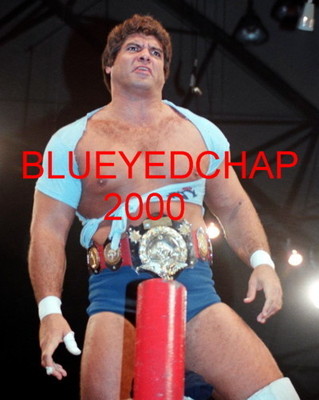 DON MURACO WRESTLER 8 X 10 WRESTLING PHOTO NWA WWF | eBay