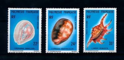 [99367] French Polynesia 1978 Marine life seashells MNH | eBay
