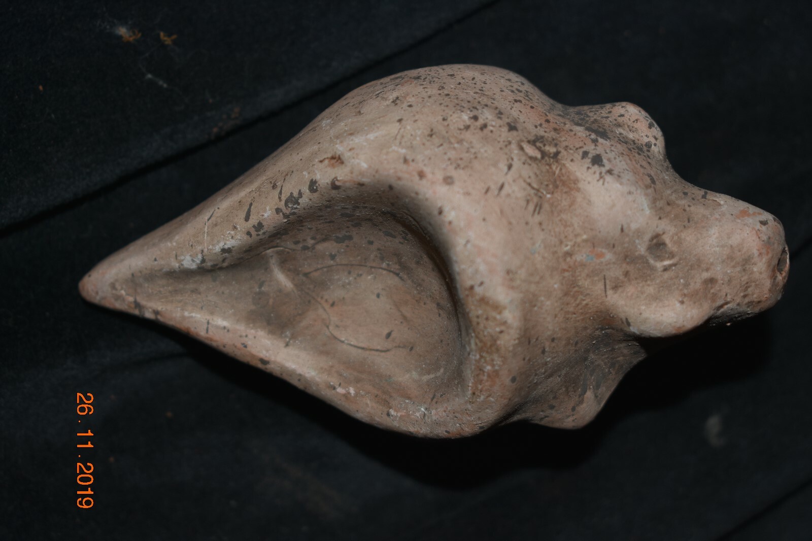 SALE!! MAYAN CLAY SHELL HORN 5IN PROV | eBay