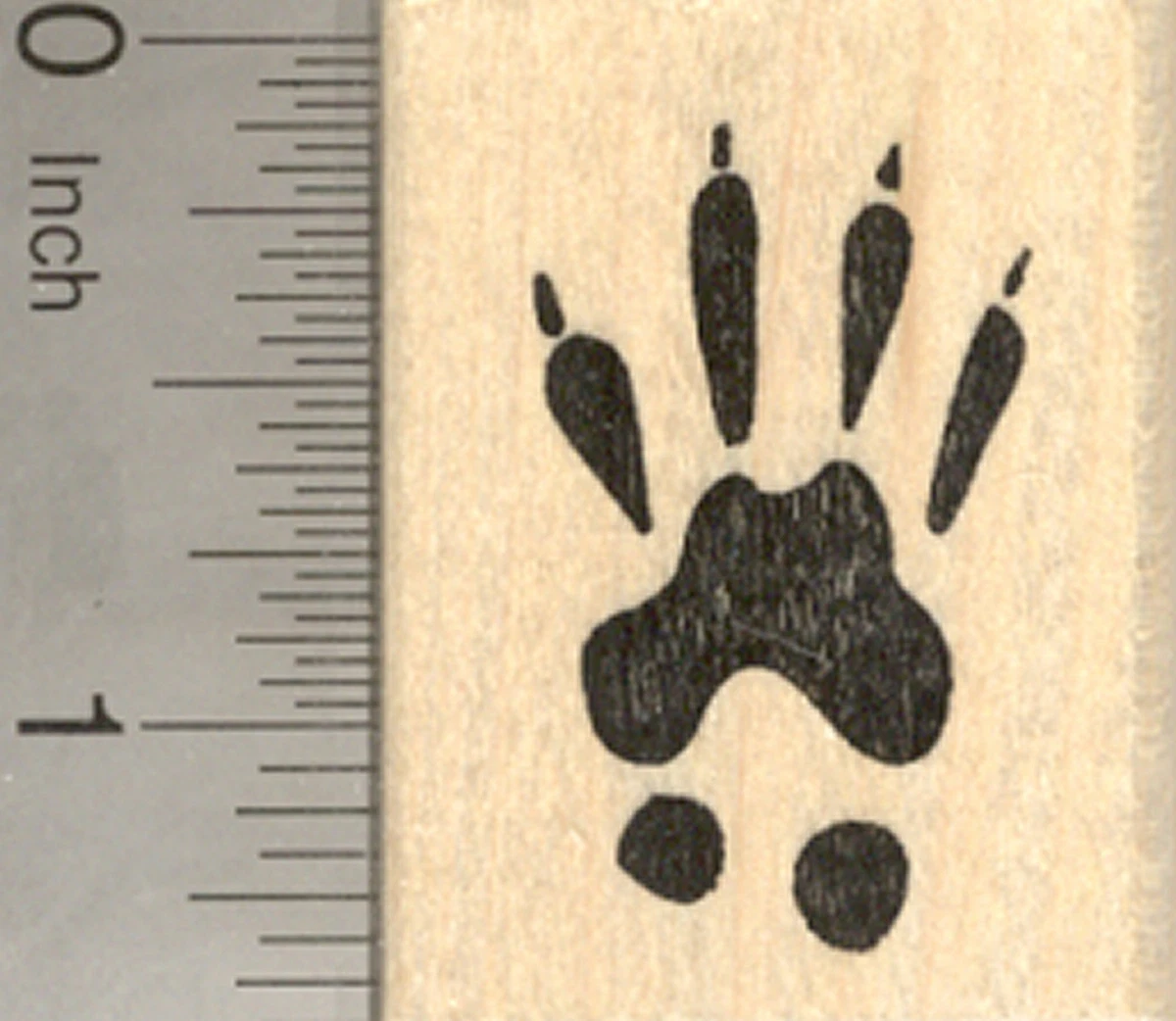 Squirrel Rubber Stamps