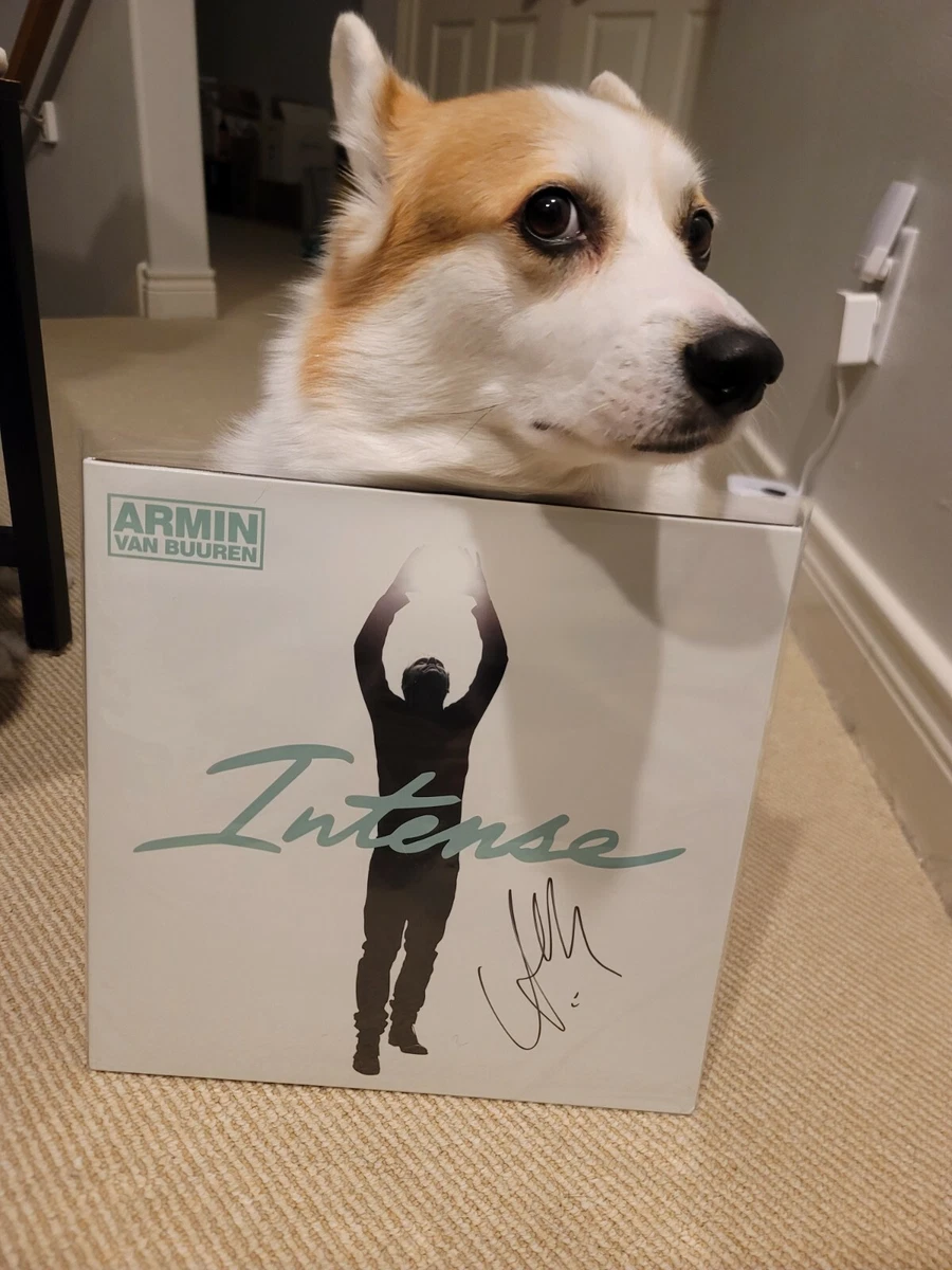Armin Van Buuren Intense Tracklist