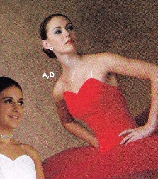 Basque Spandex VelvetBack Ballet Ballerina Clear Strap Princess Seam 5 ...