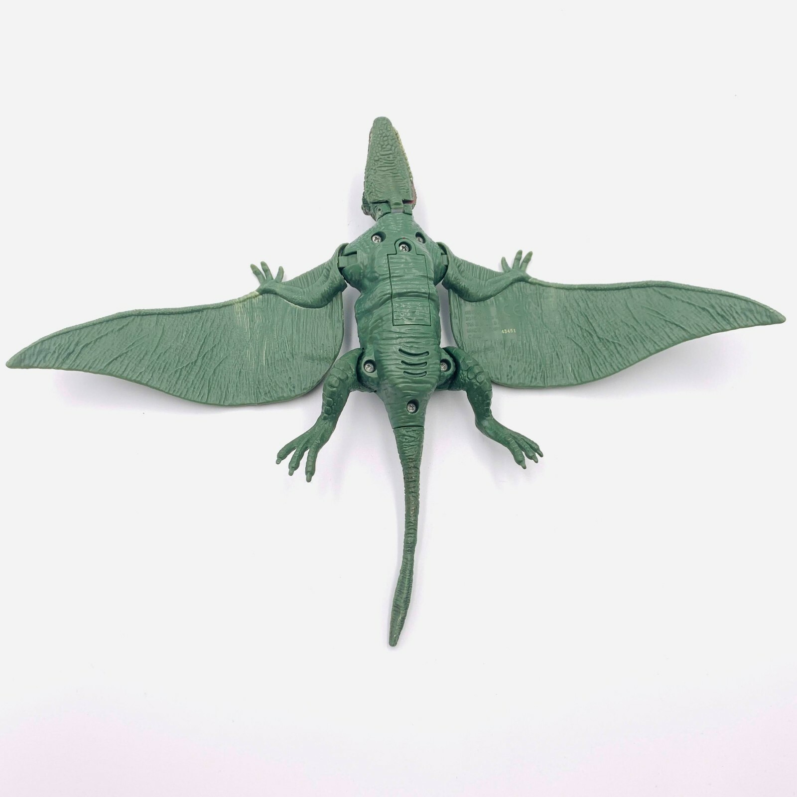 Jurassic World DIMORPHODON Hasbro 2015 Dinosaur Toy Electric EUC | eBay