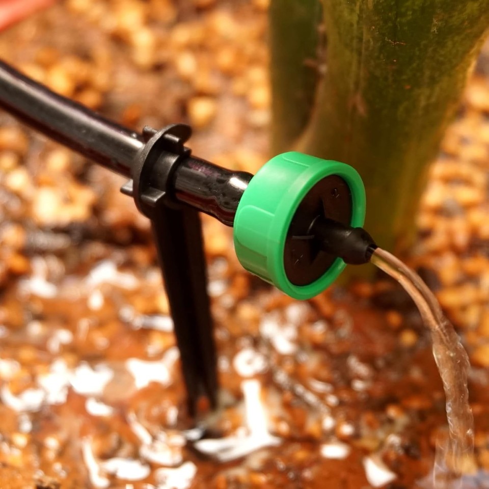 1 GPH Drip Irrigation Emitters Pressure Compensating Drippers 1 GPH, 1 ...