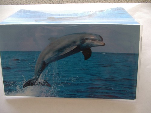 Dolphin #2 Checkbook cover | eBay