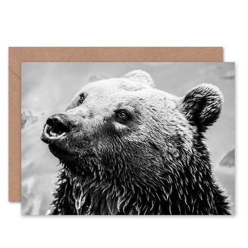 Birthday Animal Wet Bear Bw Blank Greeting Card With Envelope | eBay ...