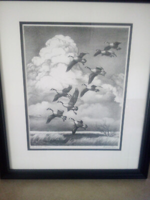 Maynard Reece - Thunderhead - Canada Geese - RARE S/N Lithograph ...
