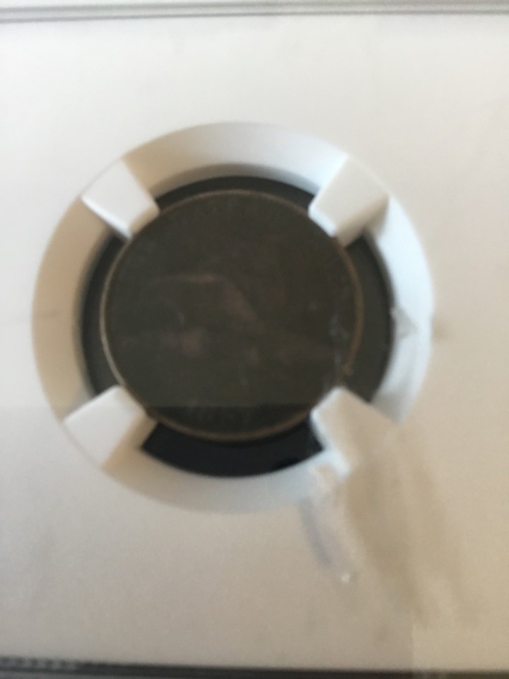 1857 flying eagle cent ngc vf detail scratches | eBay