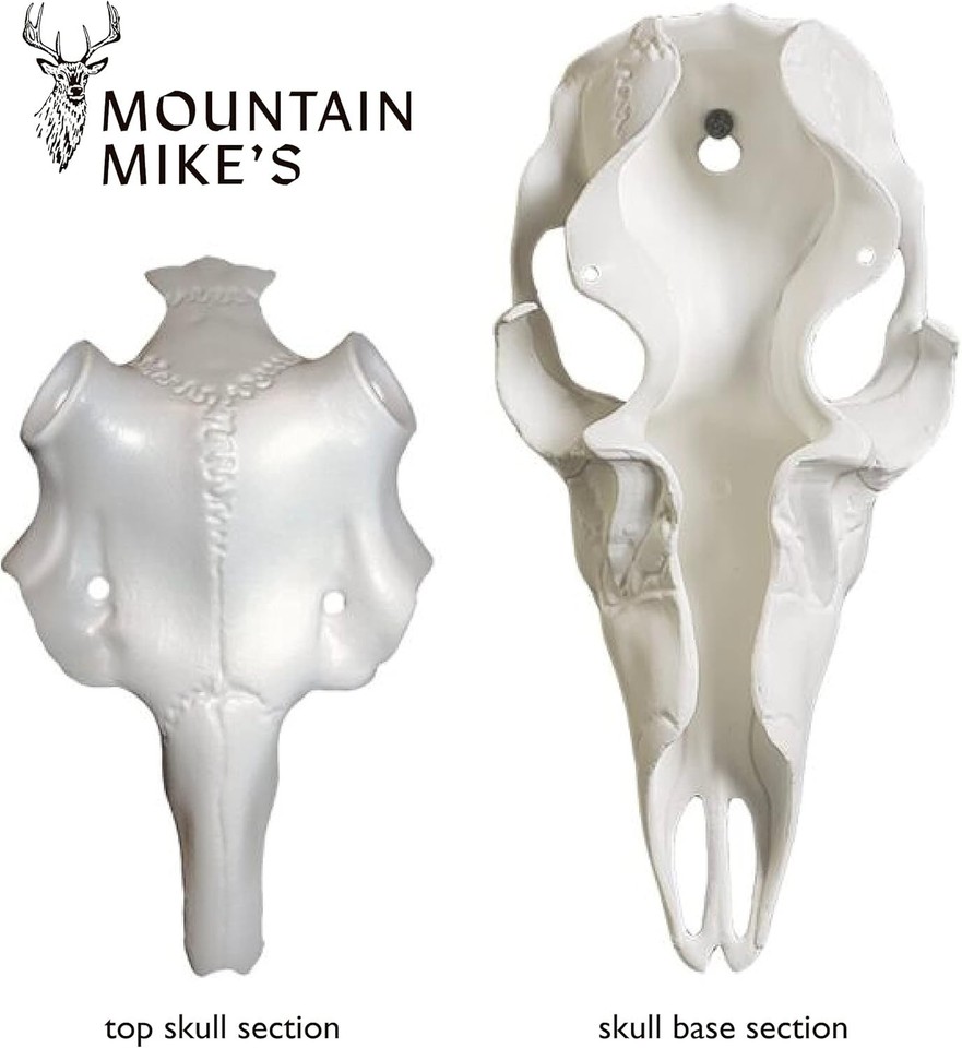Skull Master White Deer Skull Euro Mount 3D Replica Taxidermy Antler ...