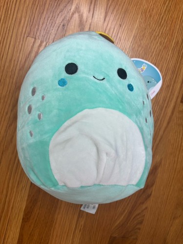 Squishmallows Chet The Iguana 8" Kelly Toy | eBay
