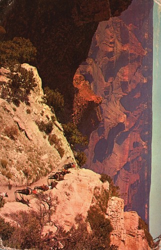 Mule Train Into The Mighty Grand Canyon National Park Arizona AZ ...