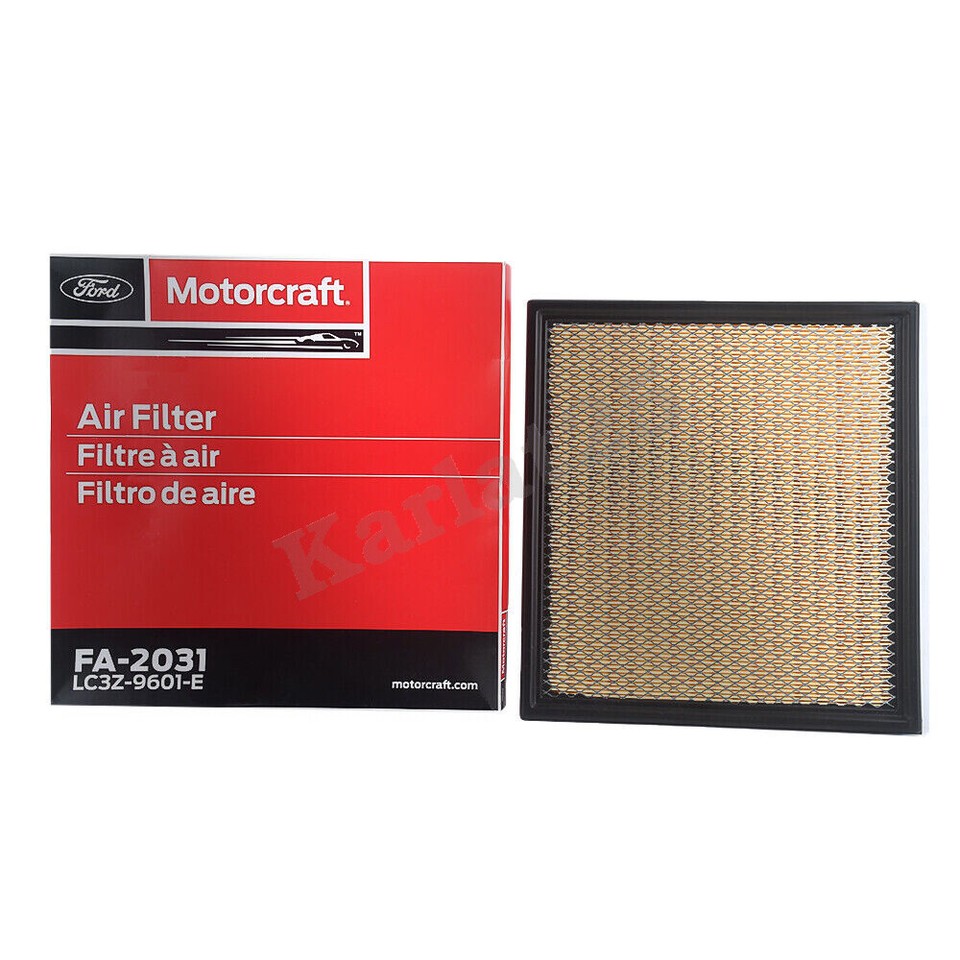 2PCS Motorcraft FD4625 Fuel/Water Filter & Air Filter FA2031 for 20-23 ...