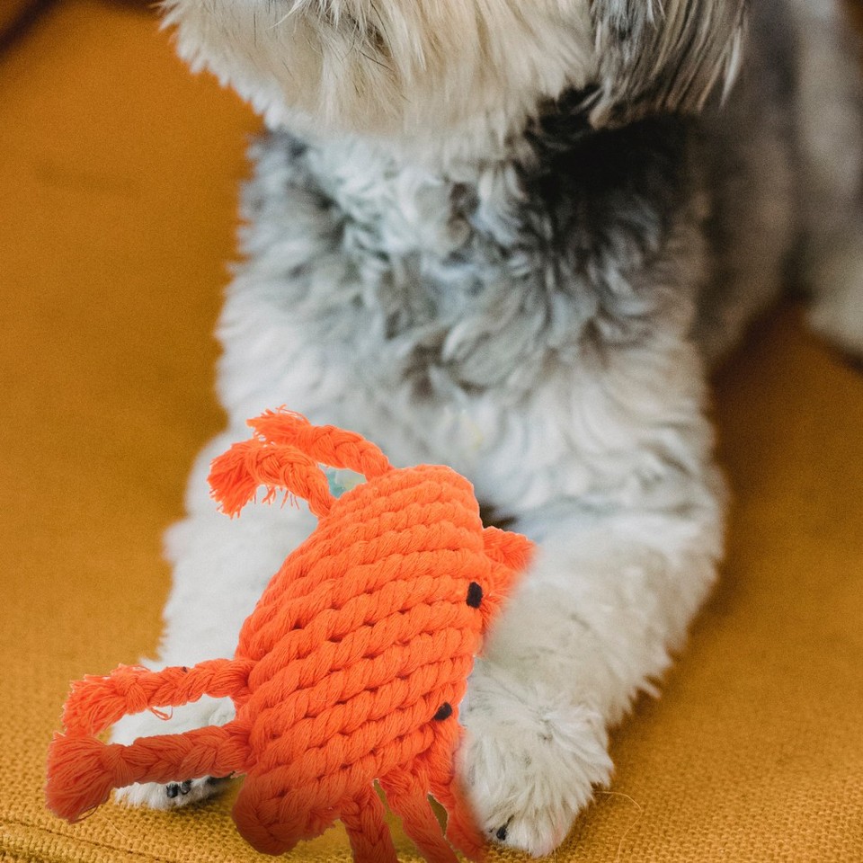 Pet Tooth Cleaning Toy Durable Dog Chew Puppy Teething Ropes Chewing ...