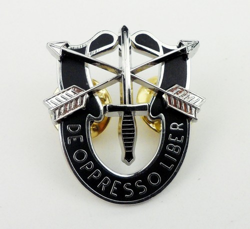 SET UNITED STATES US ARMY SPECIAL FORCES CAP BADGE PIN MILITARY HAT PIN ...