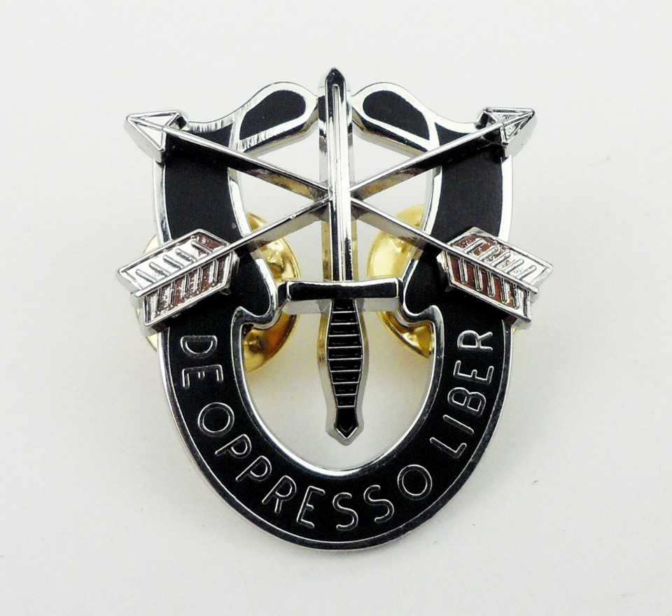 SET UNITED STATES US ARMY SPECIAL FORCES CAP BADGE PIN MILITARY HAT PIN ...