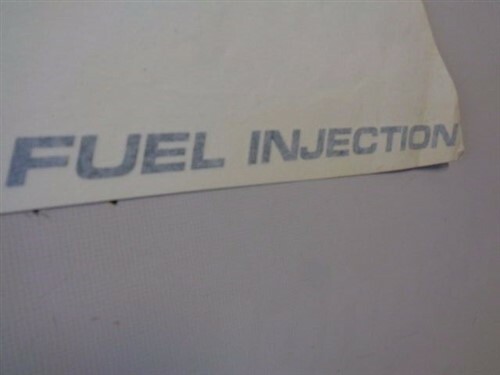 EVINRUDE 4 FICHT FUEL INJECTION DECAL GREEN 17 3/4" x 6 7/8" MARINE ...