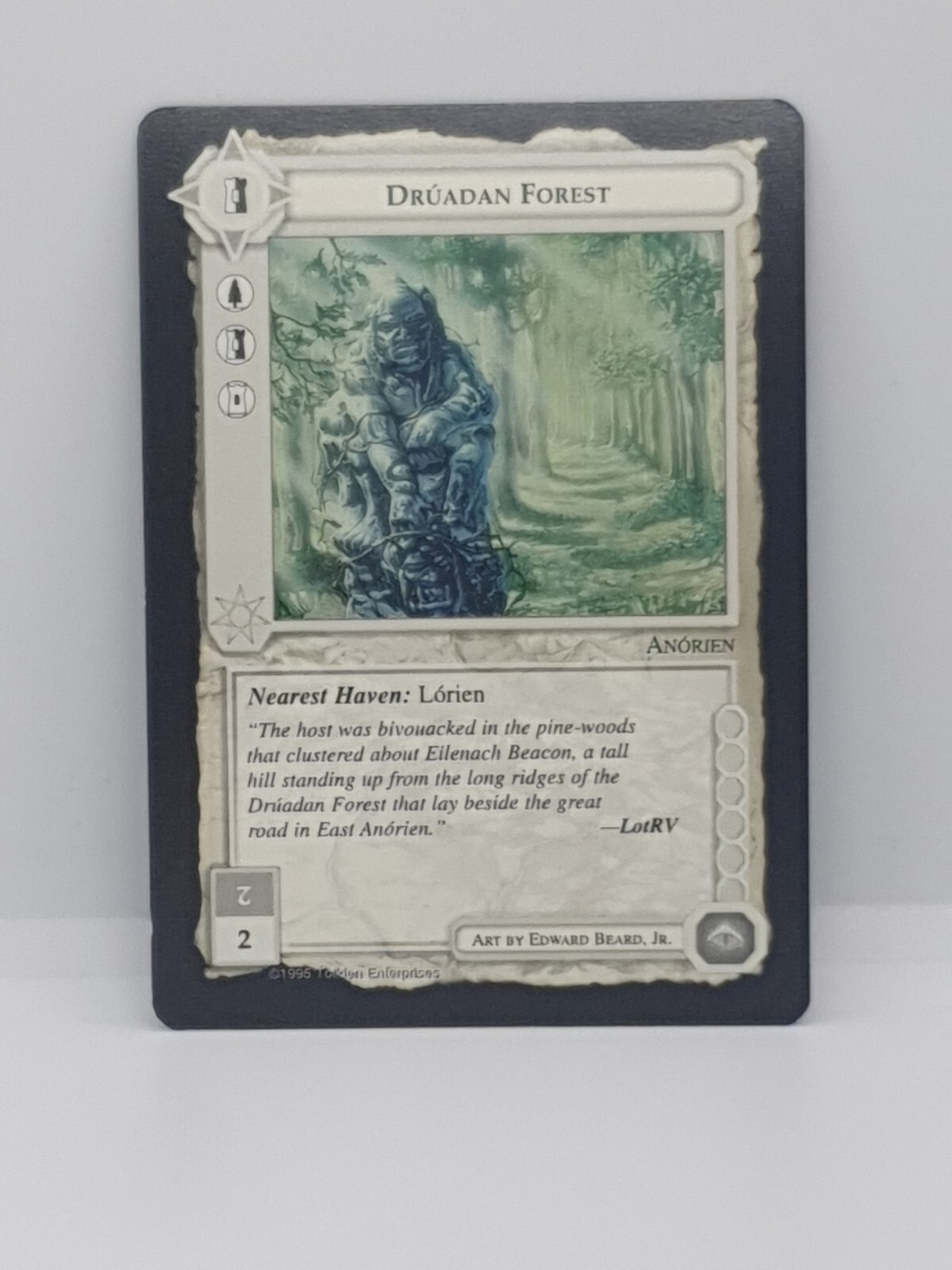 Druadan Forest LIMITED BLACK BORDER METW CCG MIDDLE EARTH THE WIZARDS ...