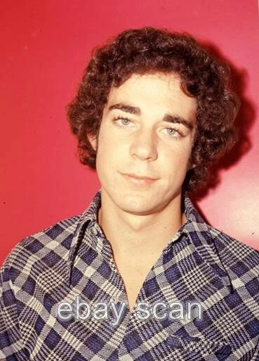 Barry Williams Brady Bunch