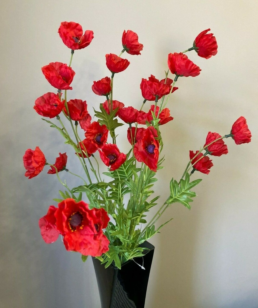 Poppy Flower Ultimate Flower Guide Poppies With Facts & Tips