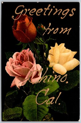 Postcard CA California Greetings From Chino Roses CA16 | eBay