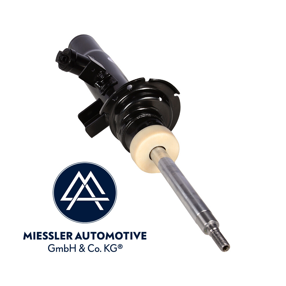 BMW X3 F25 Spring Strut (Shock absorber) front left 37116797025 | eBay