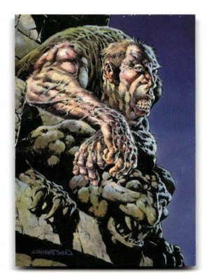 1994 Bernie Wrightson Trading Card Series 2 More Macabre #13 | eBay