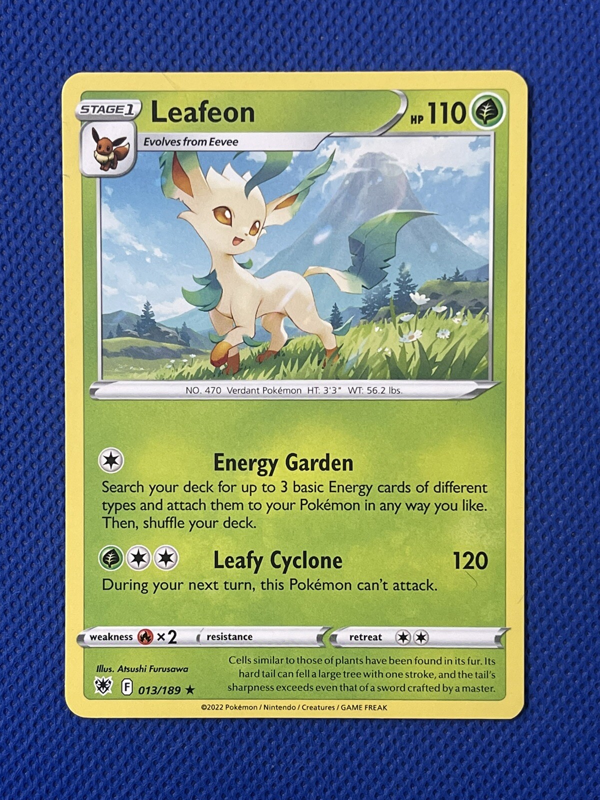 POKEMON: COMPLETE EEVEELUTION CARD SET ESPEON UMBREON SYLVEON JOLTEON ...