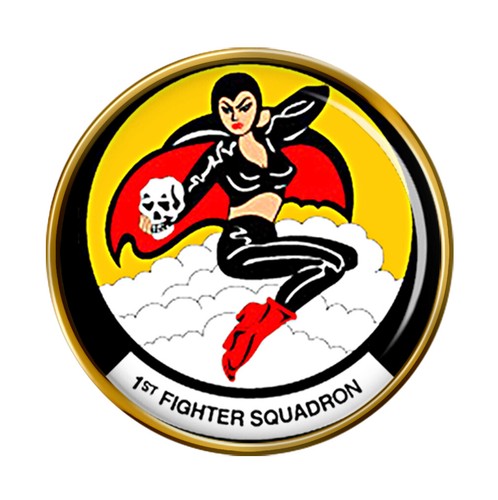 1st Fighter Squadron USAF Pin Badge | eBay