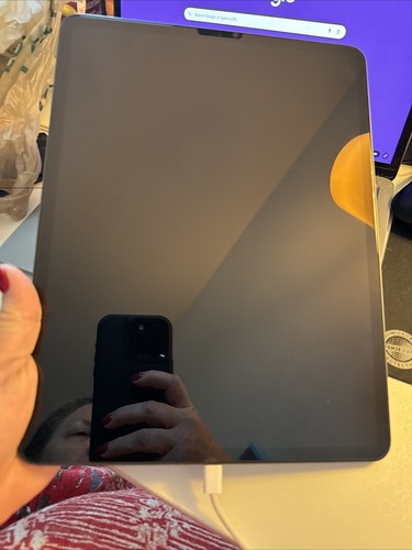 Apple iPad Pro 3rd Gen A2014 256 GB , Wi-Fi + 4G ,12.9",Gray, perfect ...