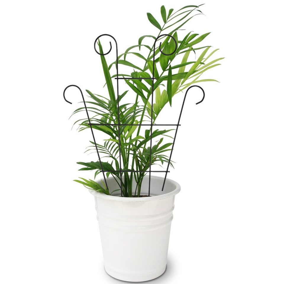 Climbing Houseplant Stem Supports Flower Pot Stands Outdoor Frame for ...