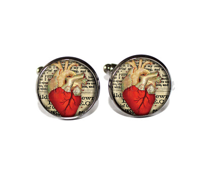 Anatomy Heart Science Handmade Cuff Links Round Glass Cufflinks Biology ...