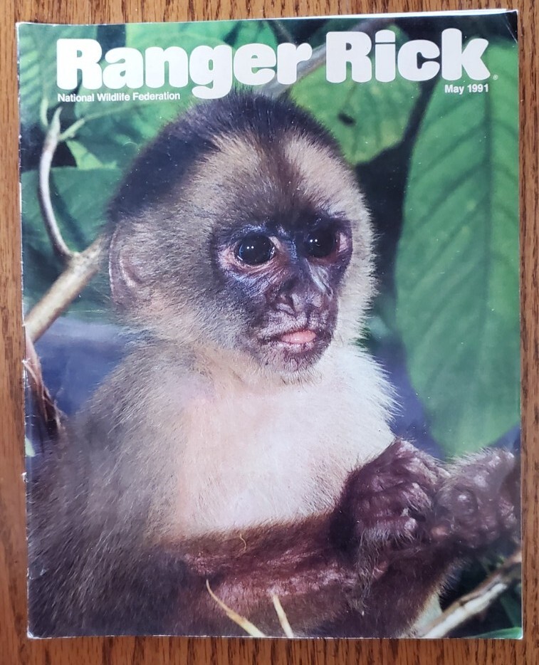 Lot of 12 Vintage Ranger Rick Magazines 89,90,91 National Wildlife ...