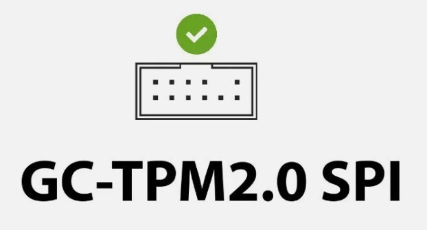 GIGABYTE GC-TPM 2.0 SPI TPM Module Compatible with GIGABYTE ...