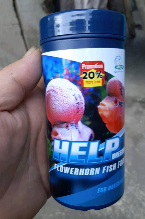 Flowerhorn Fish Food Help Breeder Kok Fry Red Blaze Pearl Color Faster ...