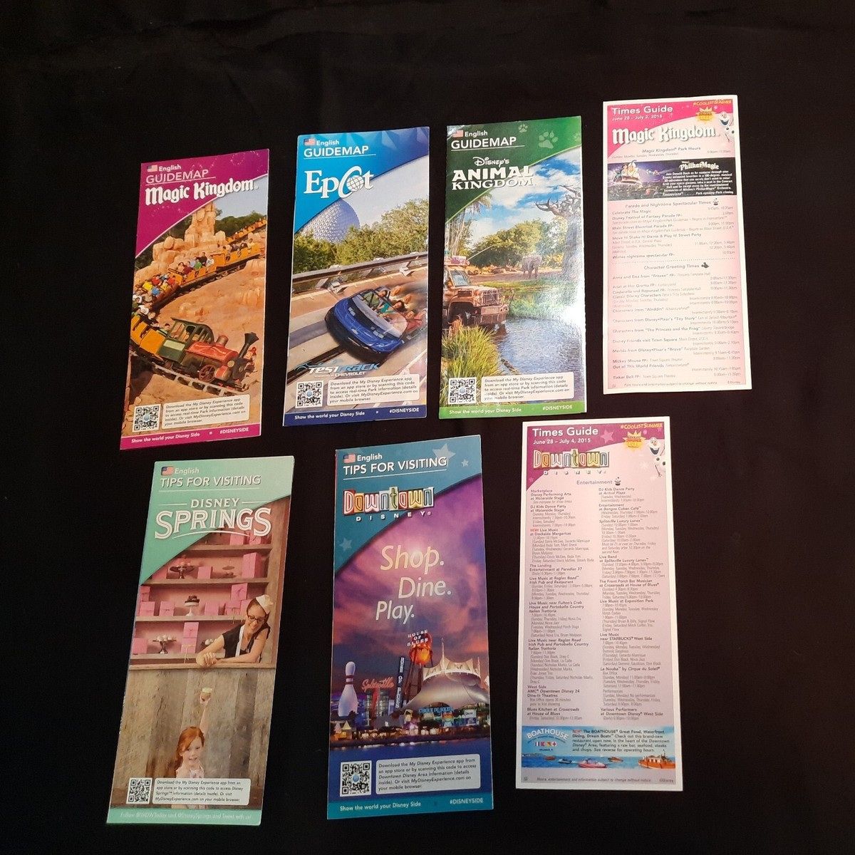 2015 Disney World Map