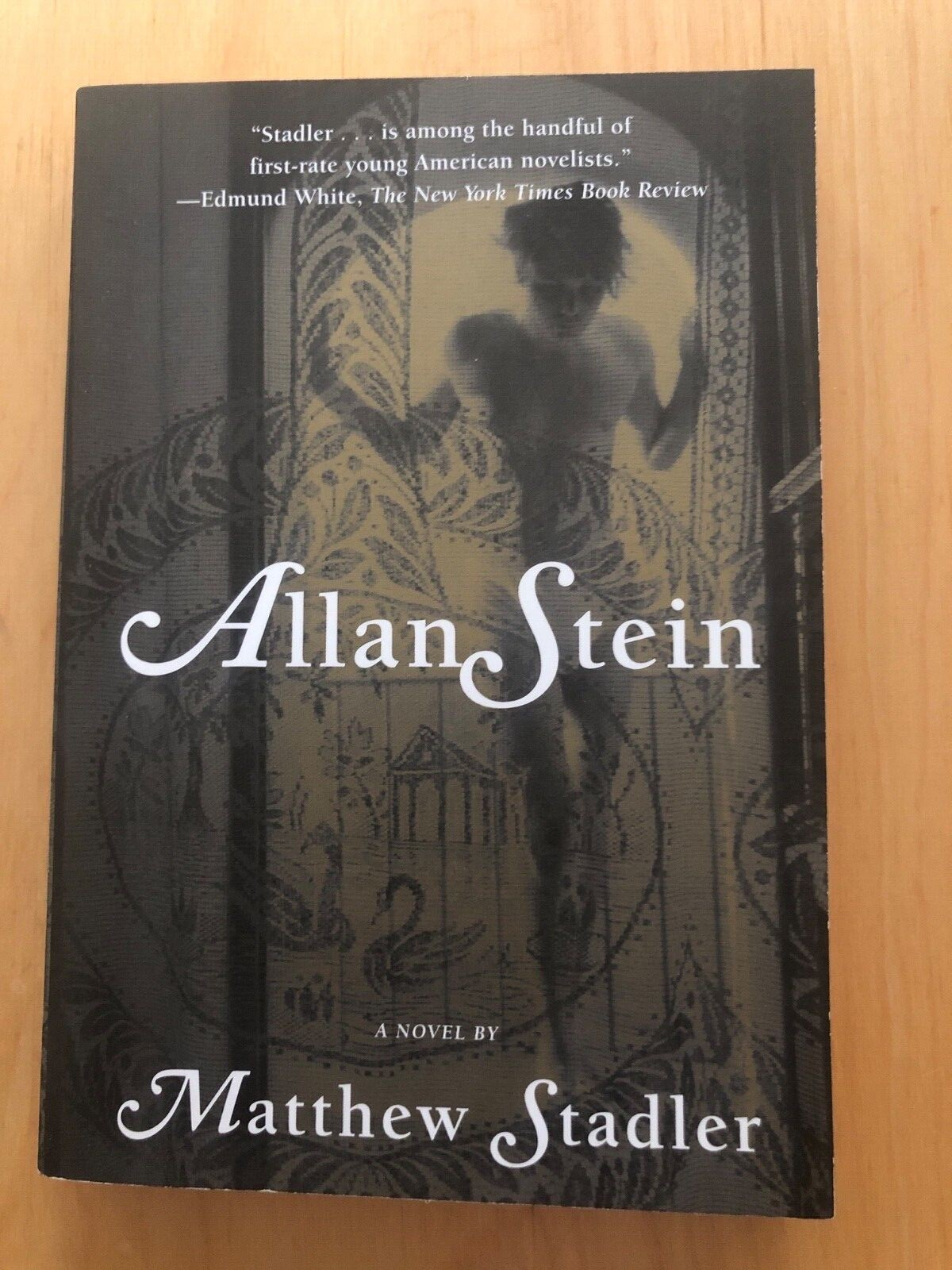 Allan Stein - Paperback By Matthew Stadler - Brand New condition 9780802136626 | eBay