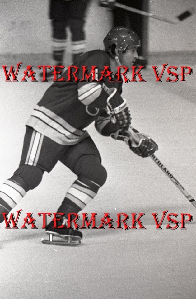 Inge Hammarstrom Barry Gibbs Neil Labatte St Louis Blues NHL 35mm ...