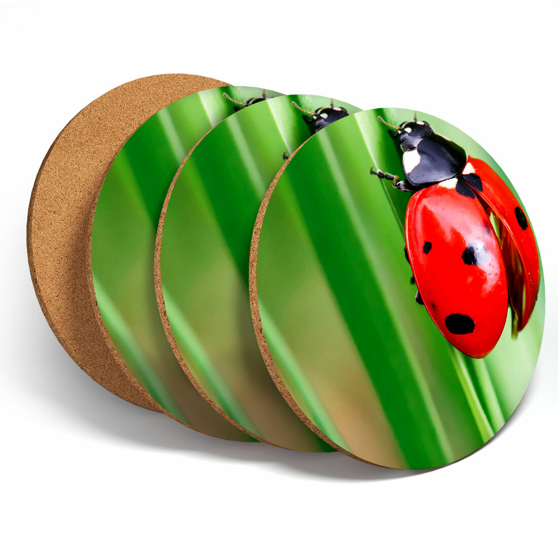 4 Set - Ladybird Insect Bug Green Coasters Kitchen Drinks Coaster Gift ...