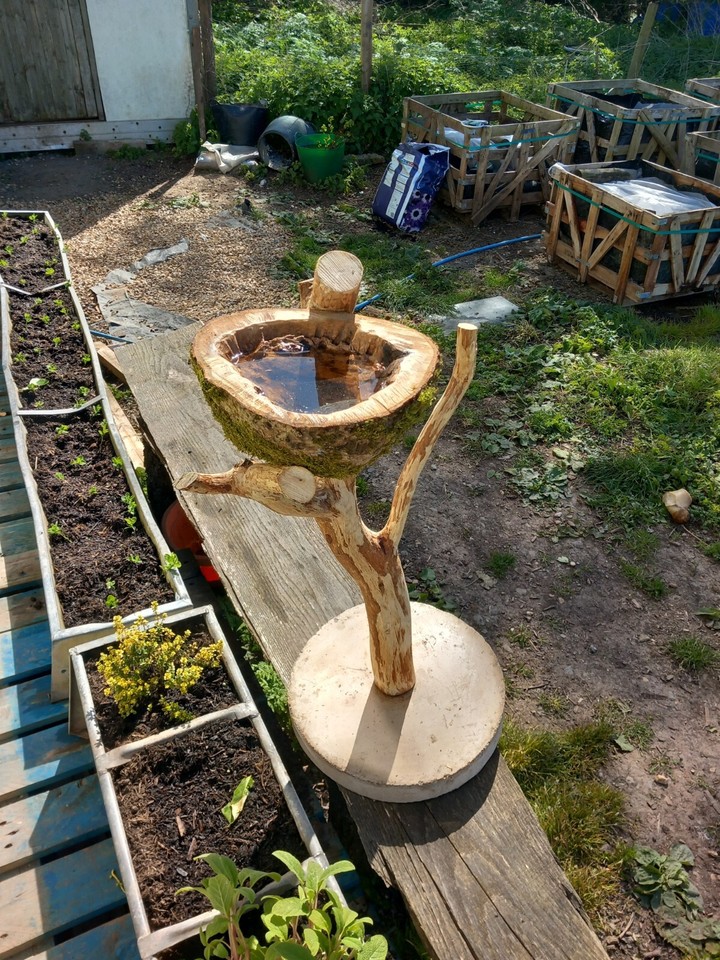 Unique wooden bird bath, no 2 are the same, made from responsible ...