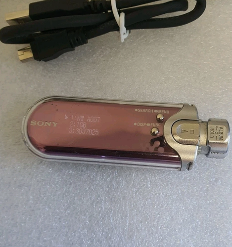 Sony Walkman NW-A607 metallic purple ( 1 GB ) Digital Media Player | eBay