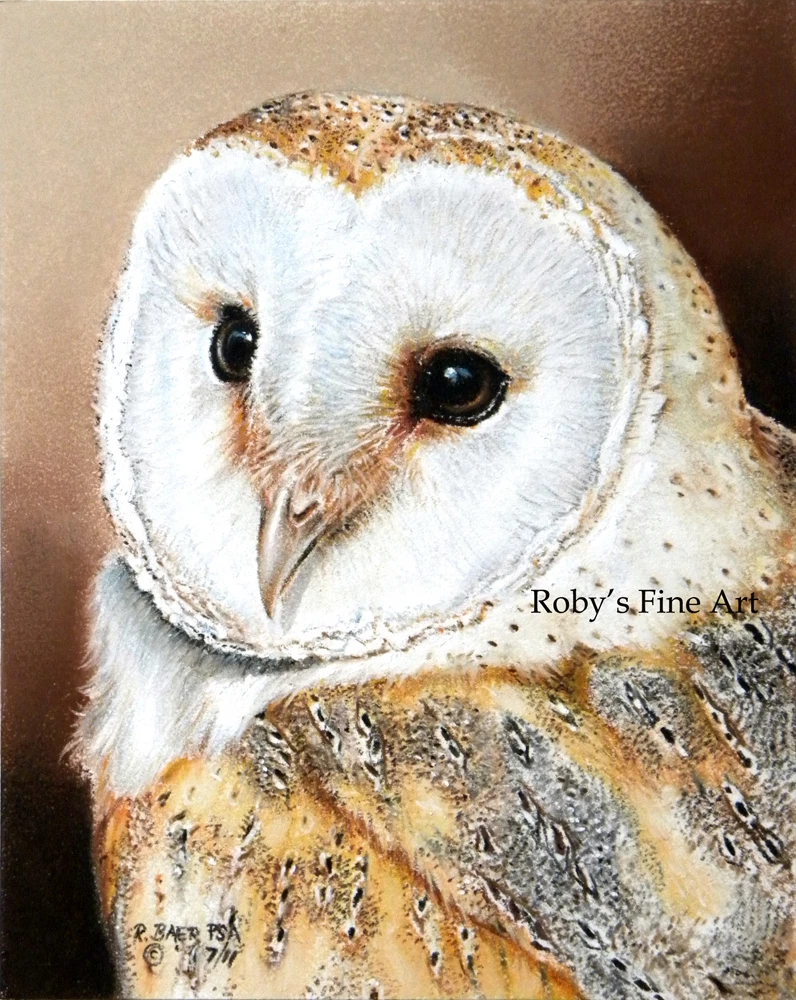 Realistic Barn Owl Art